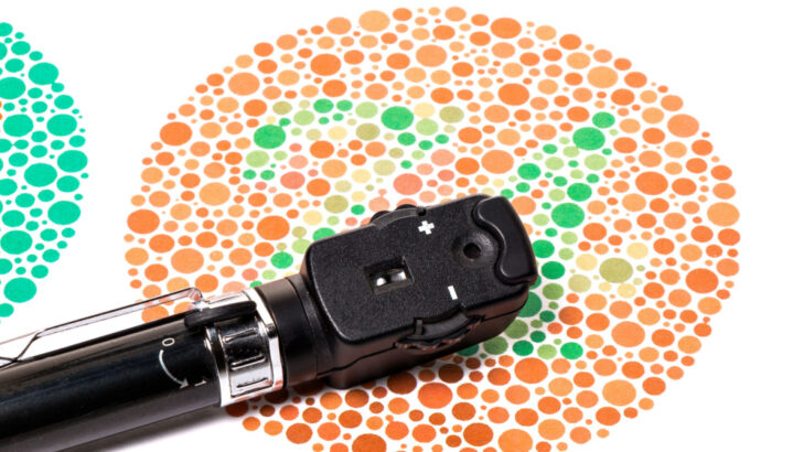 Barvoslepost: svět jako ze zvláštní fotografie - Babyweb.cz