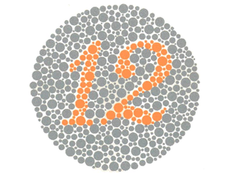 Barvoslepost: svět jako ze zvláštní fotografie - Babyweb.cz