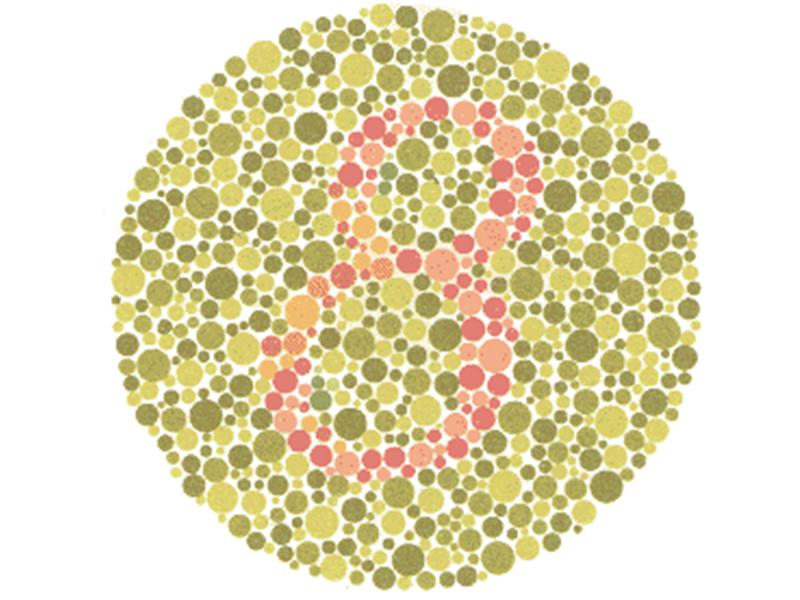 Barvoslepost: svět jako ze zvláštní fotografie - Babyweb.cz